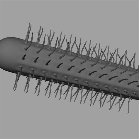 E Coli 3d Model 3d Models World