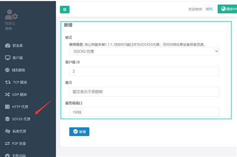 使用nps搭建内网 穿透[保姆级教程] xiondun 博客园