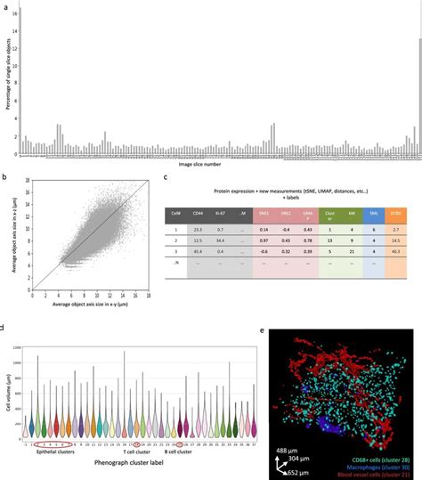 Evaluation Of The 3d Single Cell Segmentation For A Breast Carcinoma 3d Download Scientific