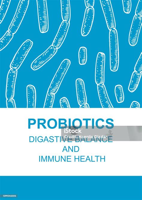 포장 및 브랜딩을 위한 손으로 그린 프로바이오틱스 디자인 스케치 스타일의 벡터 일러스트레이션입니다 현미경 박테리아 클로즈업 생물학 배경 개념에 대한 스톡 벡터 아트 및 기타