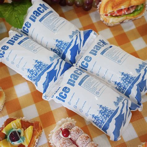Dry Ice Packs For Shipping Ice Cream 2025 Guide Tempk