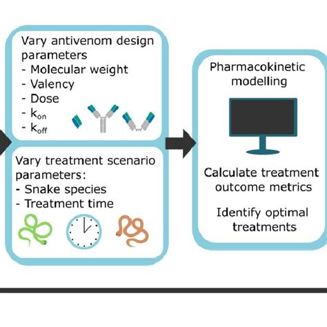 Schematic Of A Computational Modelling Workflow Applied To Antivenom