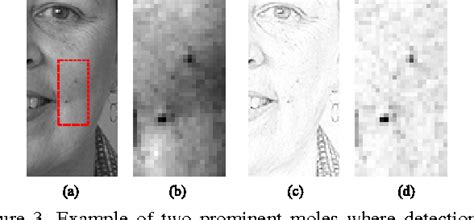 figure 3 from skin detail analysis for face recognition semantic scholar