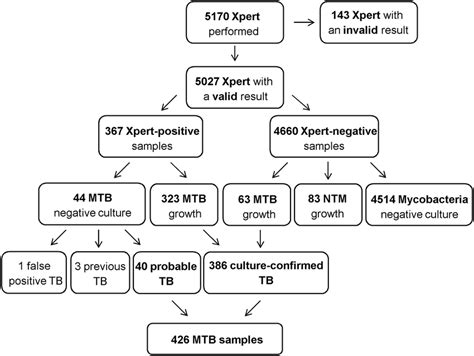 Flow Chart Of The Study Mtb Mycobacterium Tuberculosis Ntm