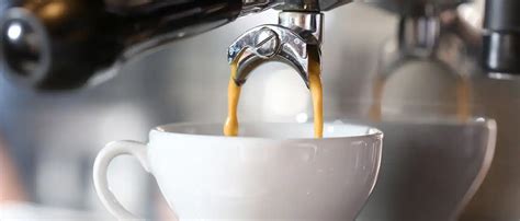 Brewing The Web With Javascript And Jquery As Part Of Full Stack Developer Odyssey Qwixby