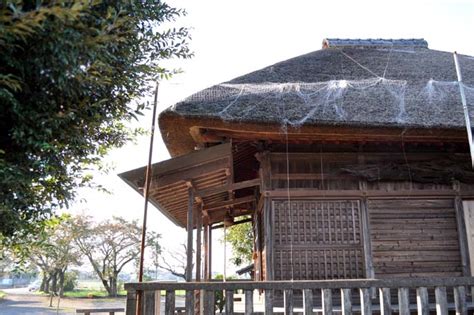 薬師神社 川越の観光お出かけ情報 カワゴエール