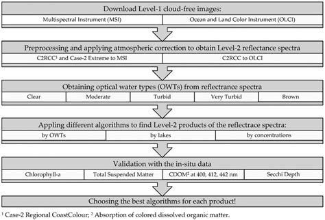 Figure A1 The Flowchart Of The Different Steps Of The Validation Process Download Scientific
