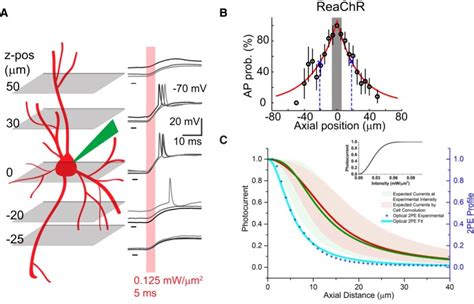 In Vivo Submillisecond Two Photon Optogenetics With Temporally Focused