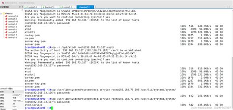 【云原生】二进制部署k8集群（上）搭建单机matser和etcd集群etcd Certsh Csdn博客