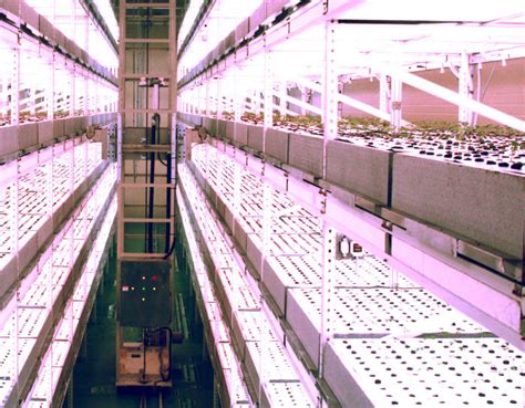 파멕스 식물공장 생육관리 로봇 선보인다 전자신문