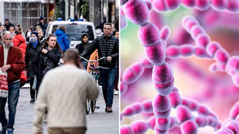 Minst 35 Personer Döda Av Streptokocker I Danmark Hälsoliv