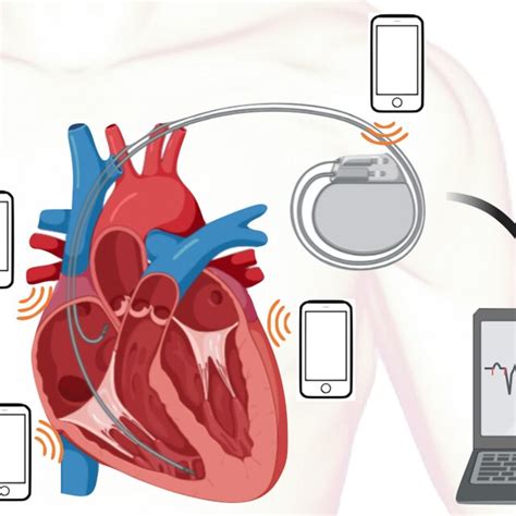 Infographic Of Testing Protocol Download Scientific Diagram
