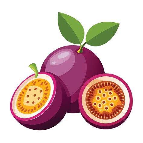 Passion Fruit Illustration 50831572 Vector Art At Vecteezy