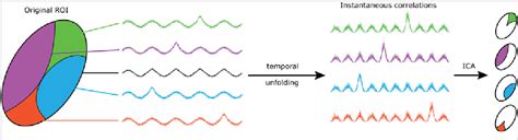 figure 1 from human brain parcellation using time courses of