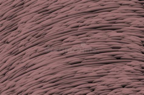 Intertwining Patterns Like Interwoven Threads Are Enlarged Elegant