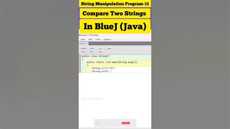 Learn How To Use Compareto Function L String Manipulation Program 11