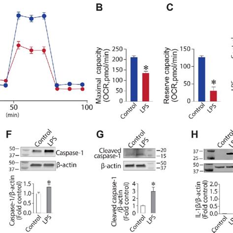Lps Induces Mitochondrial Dysfunction And Inflammasome Activation In