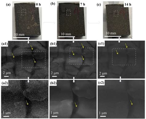 Surface Morphologies Of N Cds 8 Pda Composite Coating After Immersing