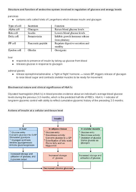 Pbl Owen 2 Pbl Learning Objectives Structure And Function Of