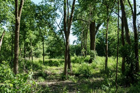 The Park Next Door Havenwoods State Forest Milwaukee Wi