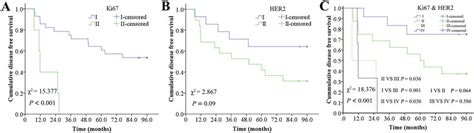 The Correlation Between Ki67 And HER2 Expressions And 8 DFS Both Ki67