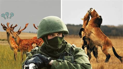 Росіяни націлились на рідкісних тварин з Асканії Нової в небезпеці звірі з пяти континентів