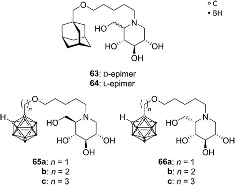New Keys For Old Locks Carborane Containing Drugs As Platforms For
