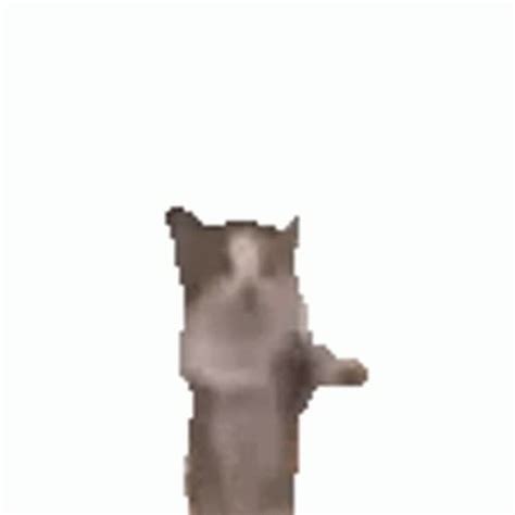 Happy Cat Jump Sticker