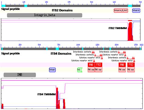 Biomolecules December Browse Articles