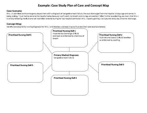 Nur2214 Mod 05 Concept Map And Plan Of Care Example Example Case