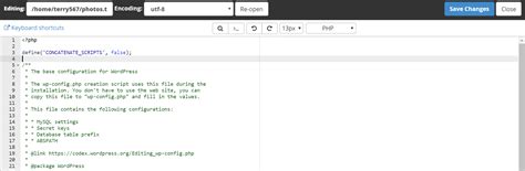 How To Fix White Text And Missing Buttons In WordPress
