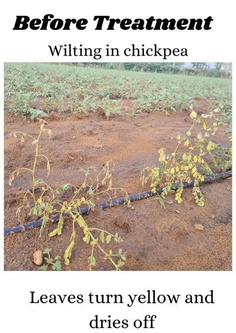 Nitin Singhal On Linkedin Purvi Patel True Benefits Of Education Is