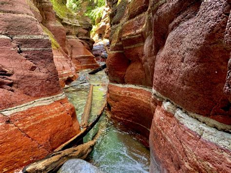 Red Rock Canyon Hike Waterton Lakes National Park The Holistic