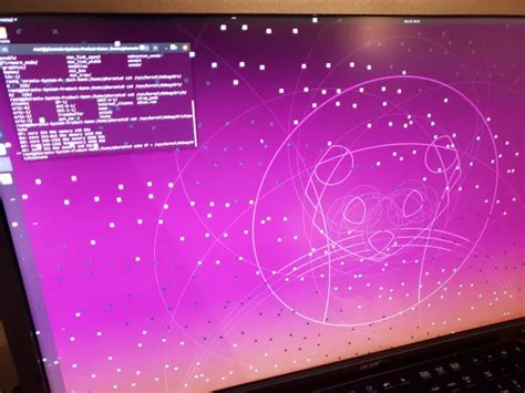 the open source nvidia nouveau vs nvidia linux driver at the end of