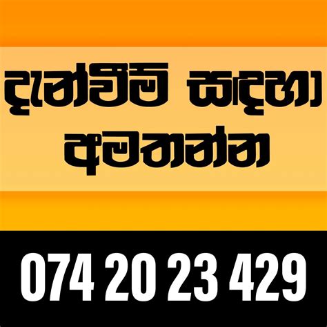 මුෂ්ෆිකර් රහීම් එක්දින පිටියෙන් සමුගනියි Dasatha Lanka News