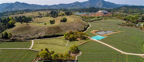 安吉古城国家考古遗址公园