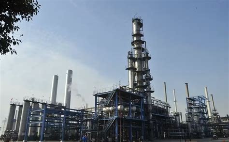 Understanding Oleochemical Process Plant Production Phoenix