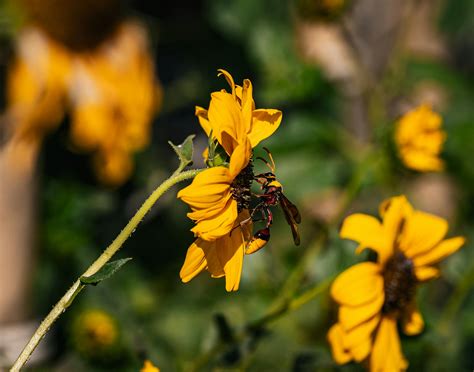 Hh Popular Now On Ng Pppp Download Photos Download The Best Free Hh Popular Now On Ng Pppp