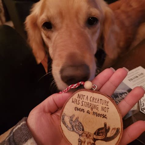 Spruce Tree Pyrography Art Etsy