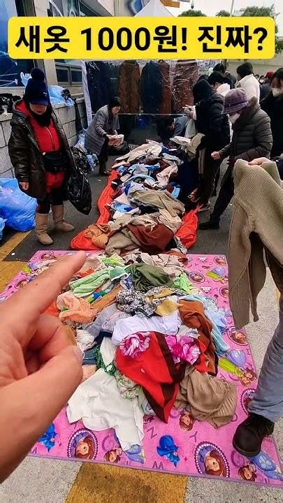 새옷이 1000원 여기다 진짜네 시장 할인 세일 폭락 의류 악세사리 땡처리 Youtube