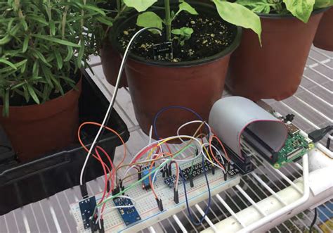 Using Data To Help A School Garden Raspberry Pi