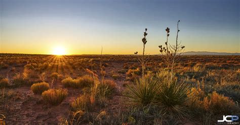 Agave Desert Sunset New Mexico Fine Art Photography — Jason Collin