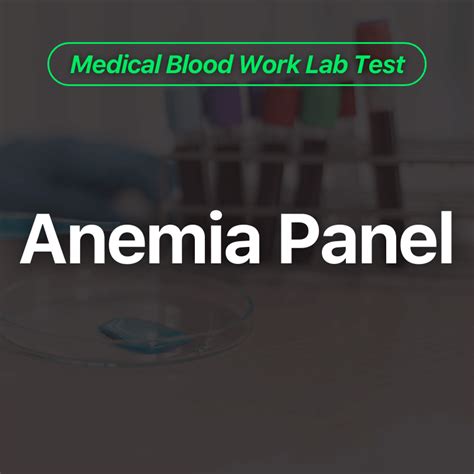 What Is A Anemia Panel At Rodolfo Freeman Blog
