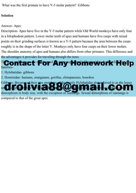 What Was The First Primate To Have Y 5 Molar Pattern Gibbonssol Pdf