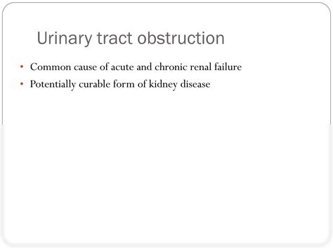 Solution Pcem Obstructive Uropathy Urinary Tract Obstruction Studypool