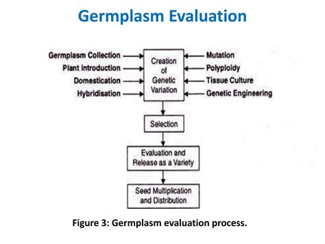 Plant Exploration Germplasm Collection Conservation And Utilization Pptx