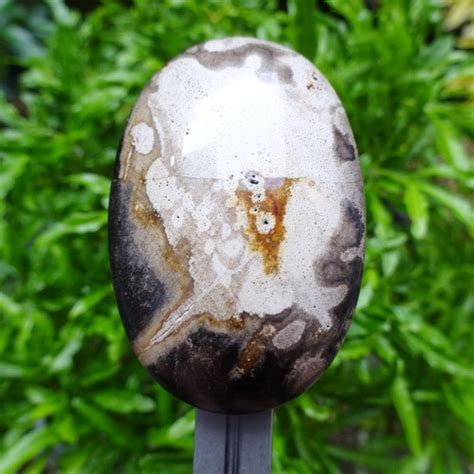 Mustika Lintah Putih Kuat Sex Pusaka Dunia