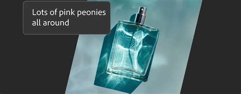 Firefly 3 Di Adobe Semplifica Luso Degli Strumenti Ai Di Photoshop