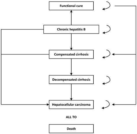 Markov Model Markov Diagram Of Health States And Possible Transitions Download Scientific