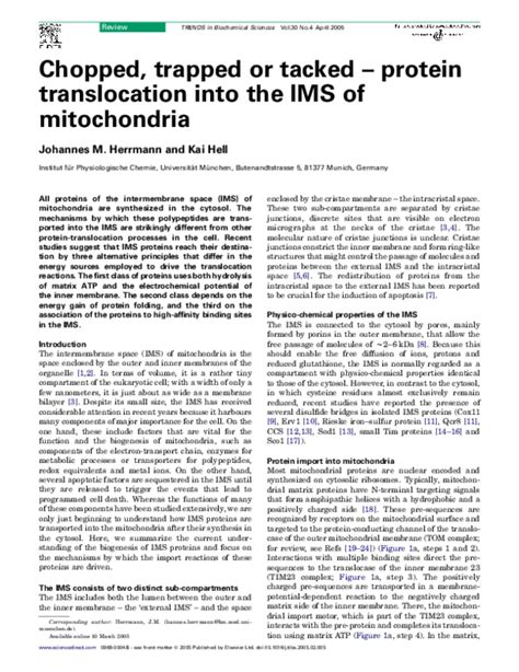 Pdf Chopped Trapped Or Tacked Protein Translocation Into The Ims
